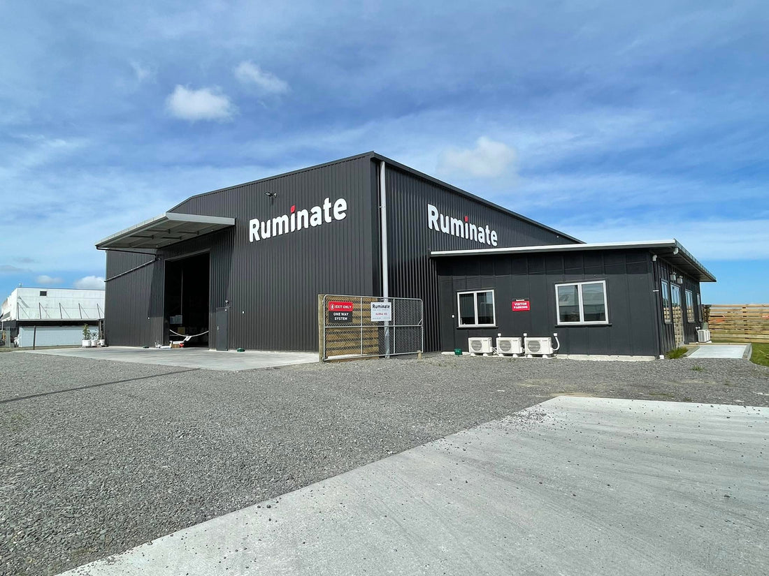 Ruminate - The Origin Story