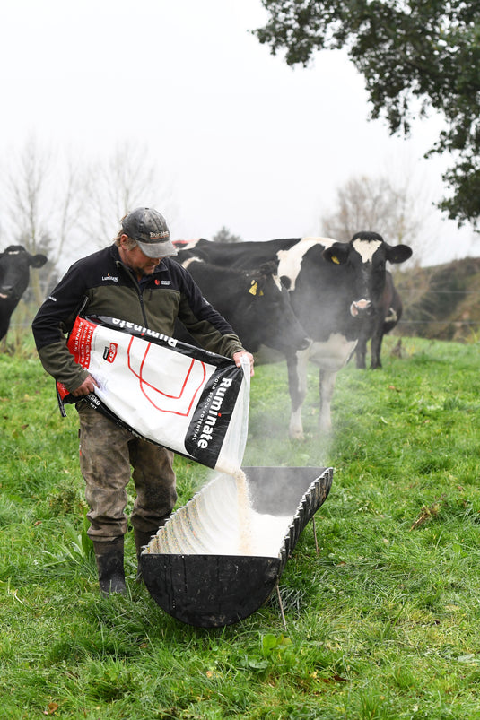 NZ Ruminant Nutrition Specialists | Book your Free Nutrition Review ...