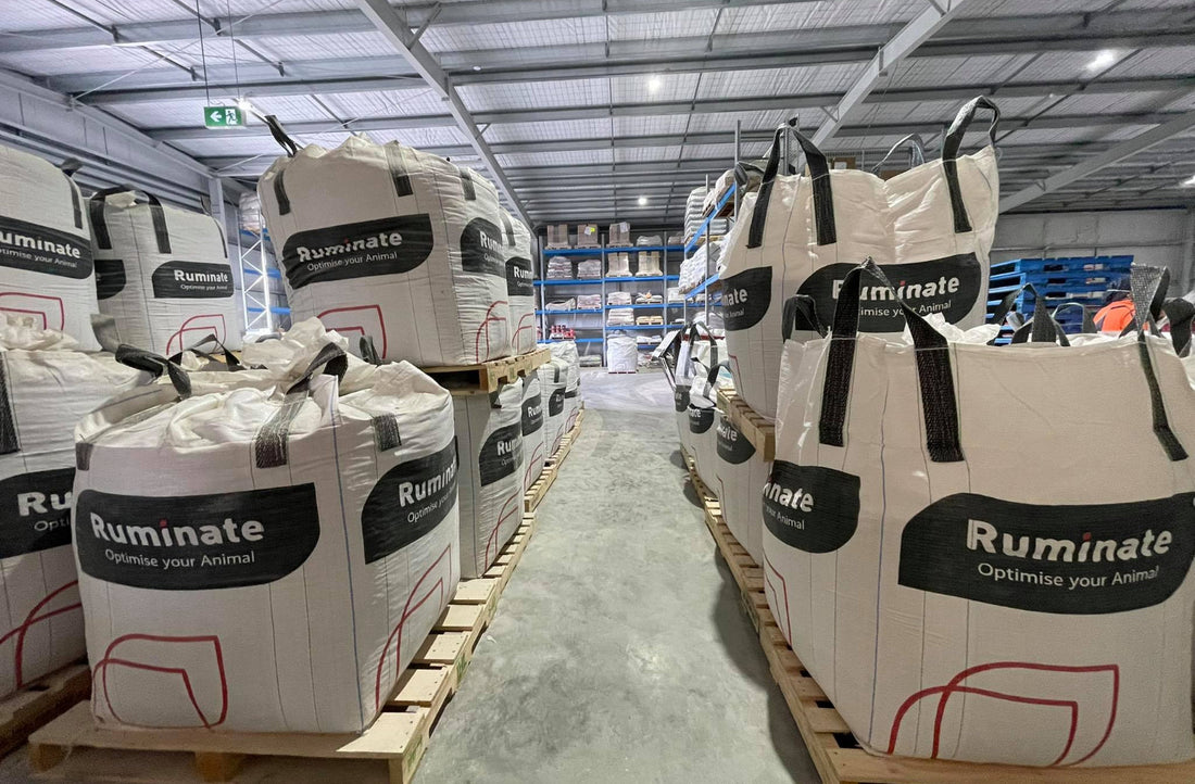 NZ's farm nutrition specialists for straight-talking advice – Ruminate