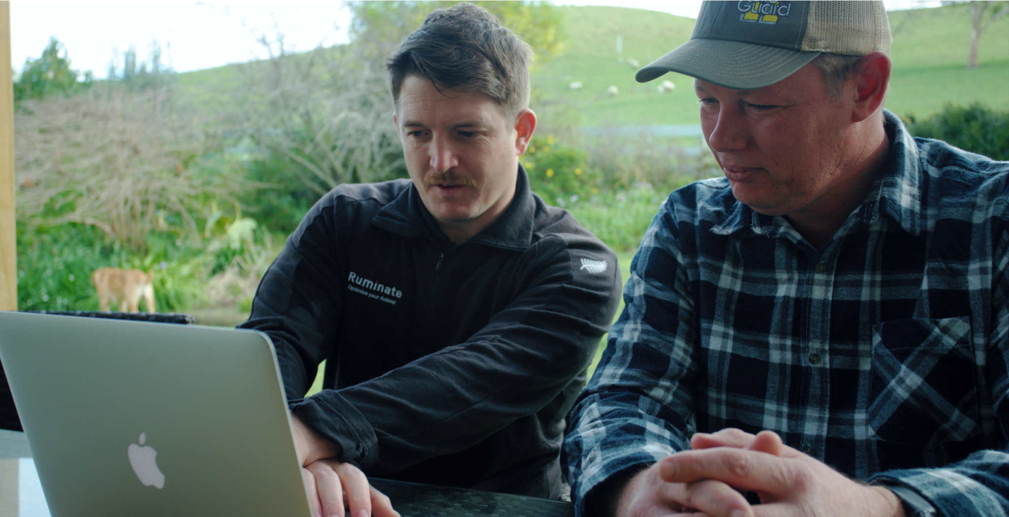 Ruminant Nutrition Specialists | NZ – Ruminate